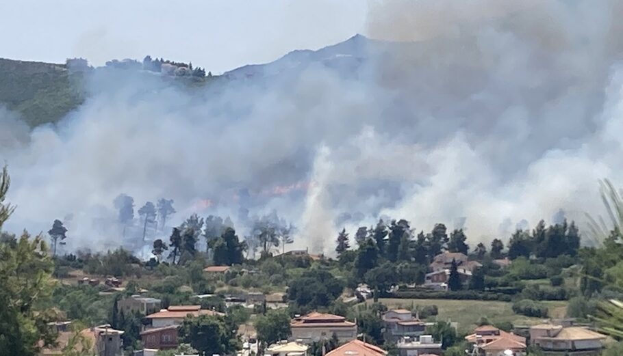 Πυρκαγιά στη Σταμάτα κοντά σε οικισμό και σε δασική έκταση στο Βύρωνα