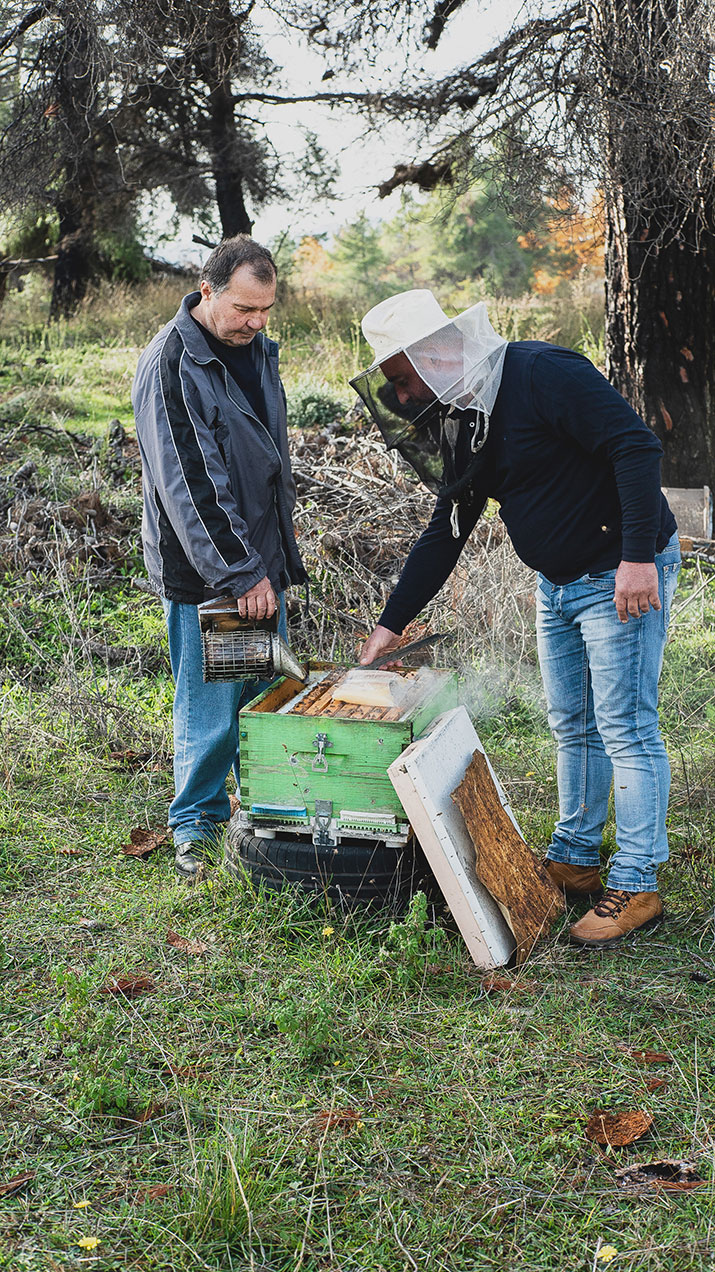 Beegin: Στους μελισσοκόμους της Β. Εύβοιας τα πρώτα έσοδα από το Bee Love