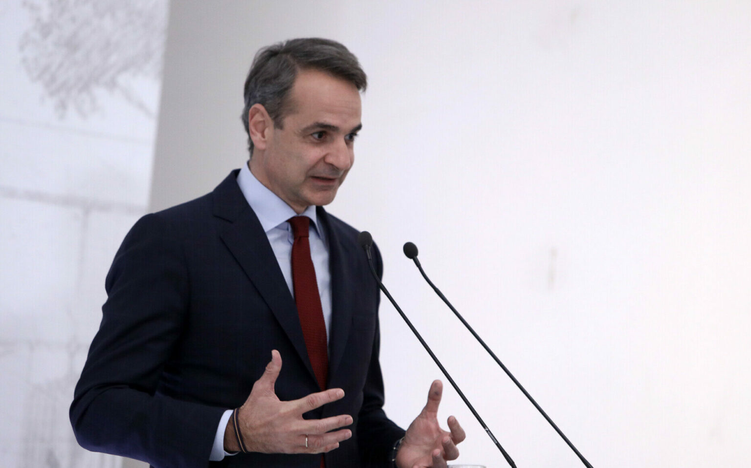 Μητσοτάκης: Κανένα ζώο αδέσποτο, κανένα κακοποιημένο