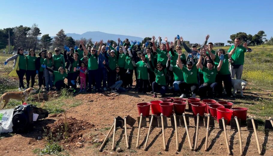 Green Team Hellas: Εθελοντική δενδροφύτευση στους Θρακομακεδόνες