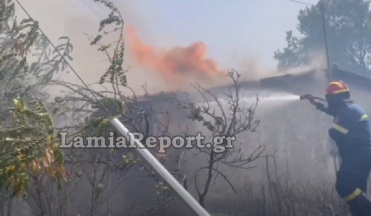 Πυρκαγιές: Η φωτιά πλησιάζει σπίτια στη Λαμία - Τρία μέτωπα στον Βόλο